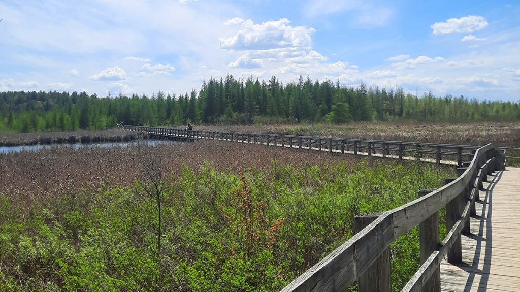 The Best Hiking and Biking Trails to Explore Around Ottawa this Summer ...